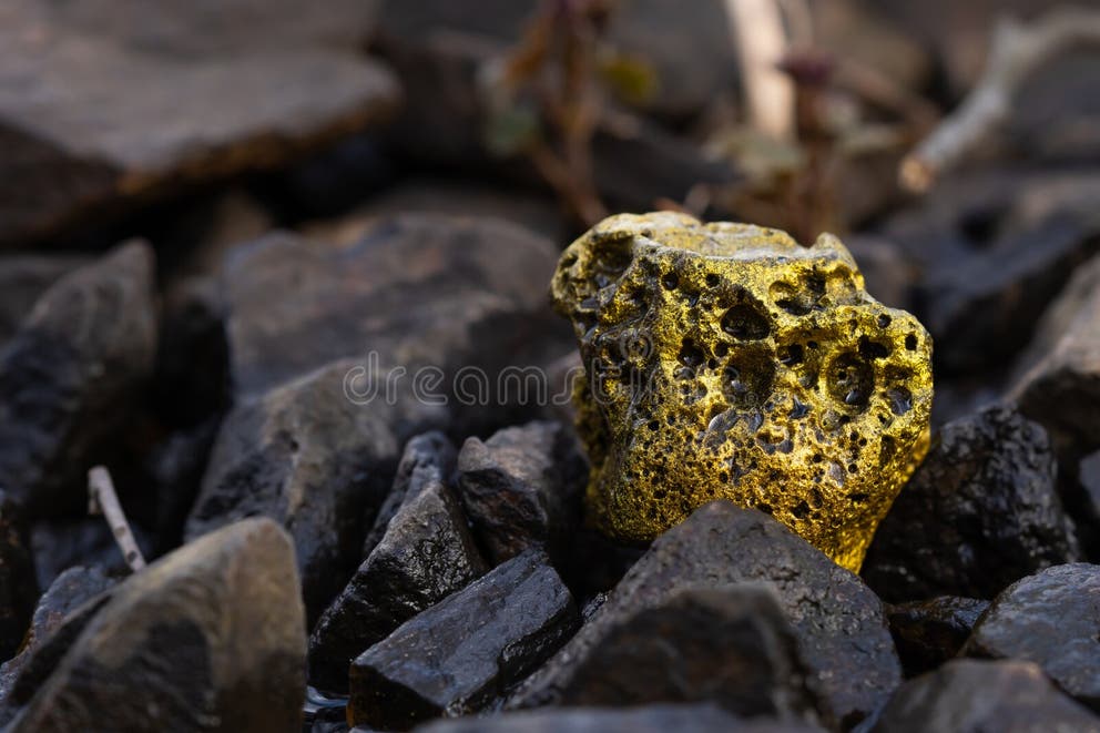 Gold Nugget Mining from the River in Austria, Real Gold. Stock Photo ...