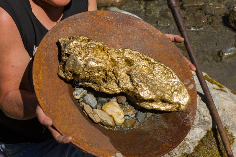 Gold Nugget Mining from the River Stock Photo - Image of rich, panning ...
