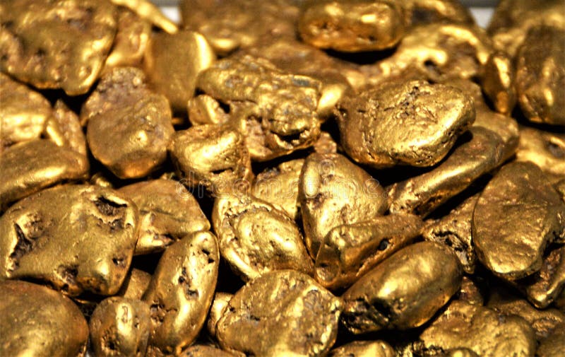 Gold Nuggets stock photo. Image of chunk, golden, hunting - 263631396