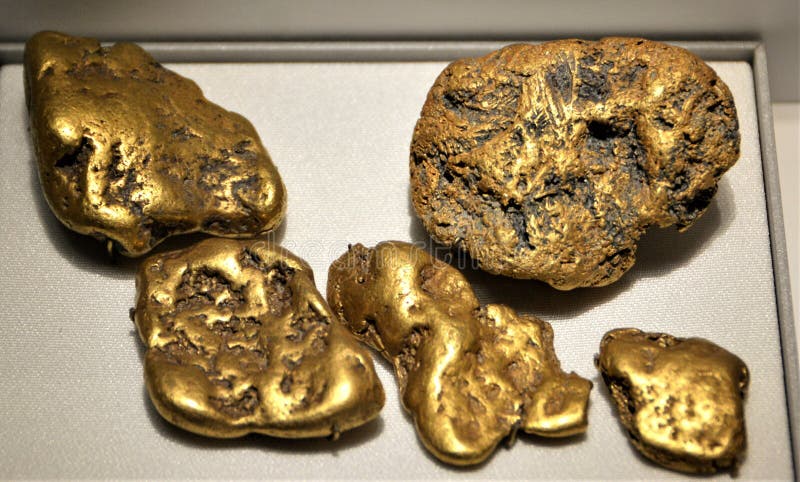 Gold Nuggets stock photo. Image of expensive, goldrush - 263631440