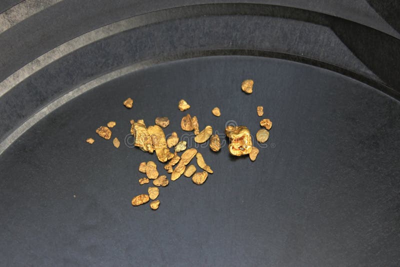 Gold Nugget Mining from the River Stock Image - Image of prosperity ...