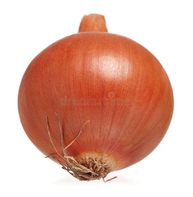 Gold onion stock image. Image of macro, root, flavor - 45787583