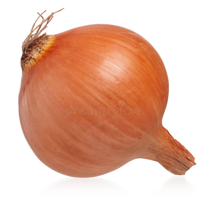 Gold onion stock image. Image of macro, root, flavor - 45787583