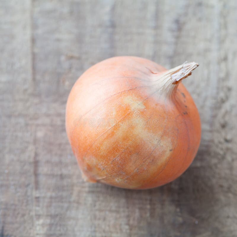 Gold onion stock photo. Image of onion, vegetable, healthy - 53449920