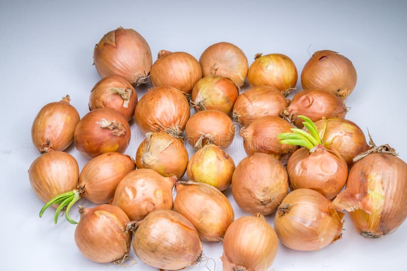 Red and Gold Onions on White Background. Collection. Healthy Food Stock ...