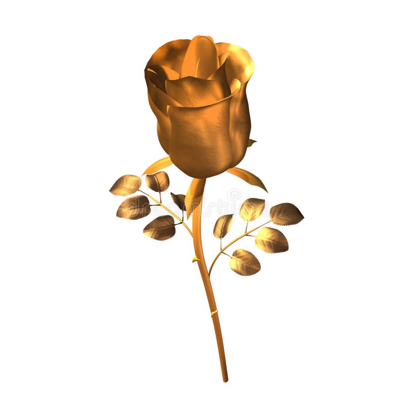 Opening rose stock illustration. Illustration of graphics - 4890969