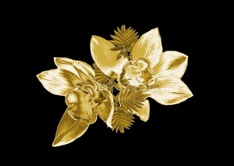 Gold orchid stock image. Image of bouquet, abstraction - 96009319