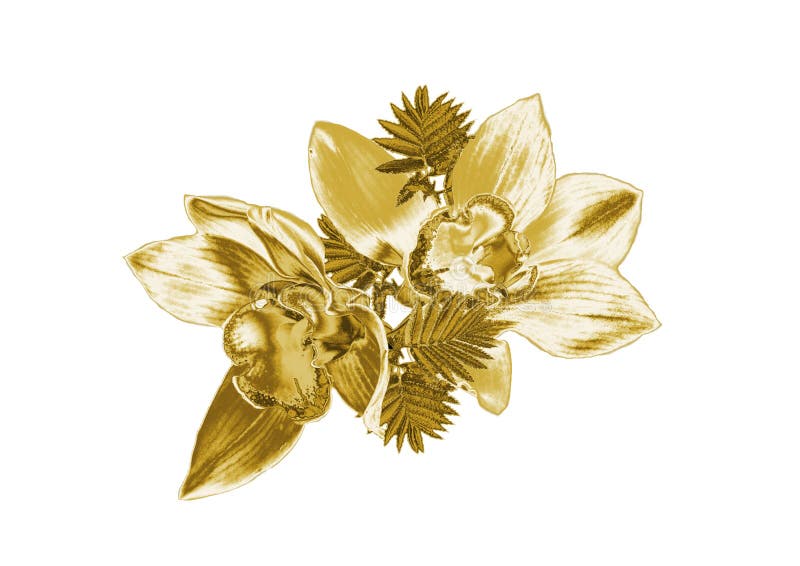 Gold orchid stock illustration. Illustration of closeup - 96009362