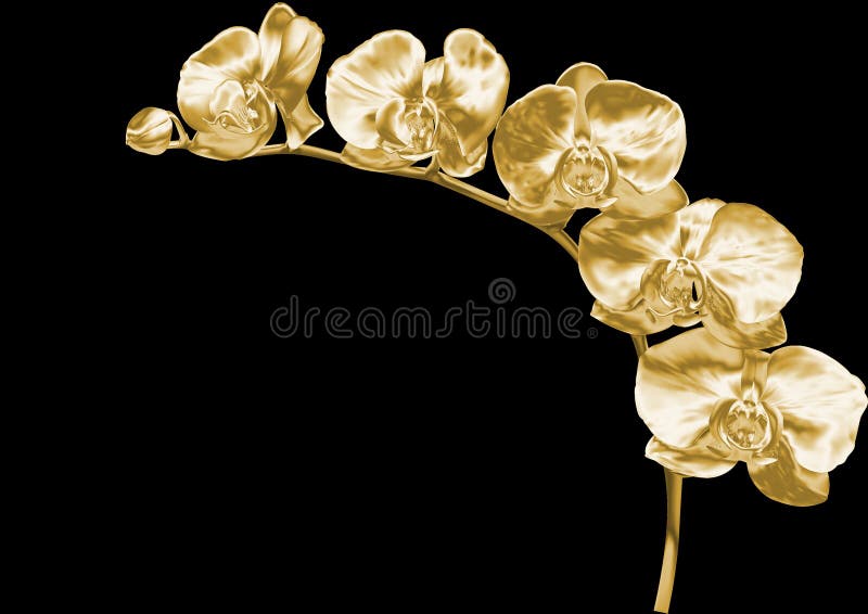 Gold orchid stock photo. Image of jewelry, black, golden - 96026482