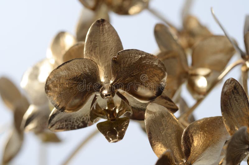 Gold orchid flower stock image. Image of orchid, bouquet - 181188295