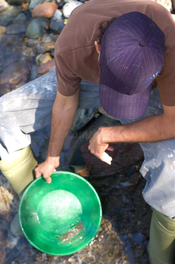 Gold Panner stock photo. Image of looking, gold, currency - 2500276