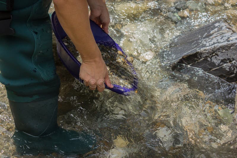 Gold panning in the river stock photo. Image of panner - 97242880