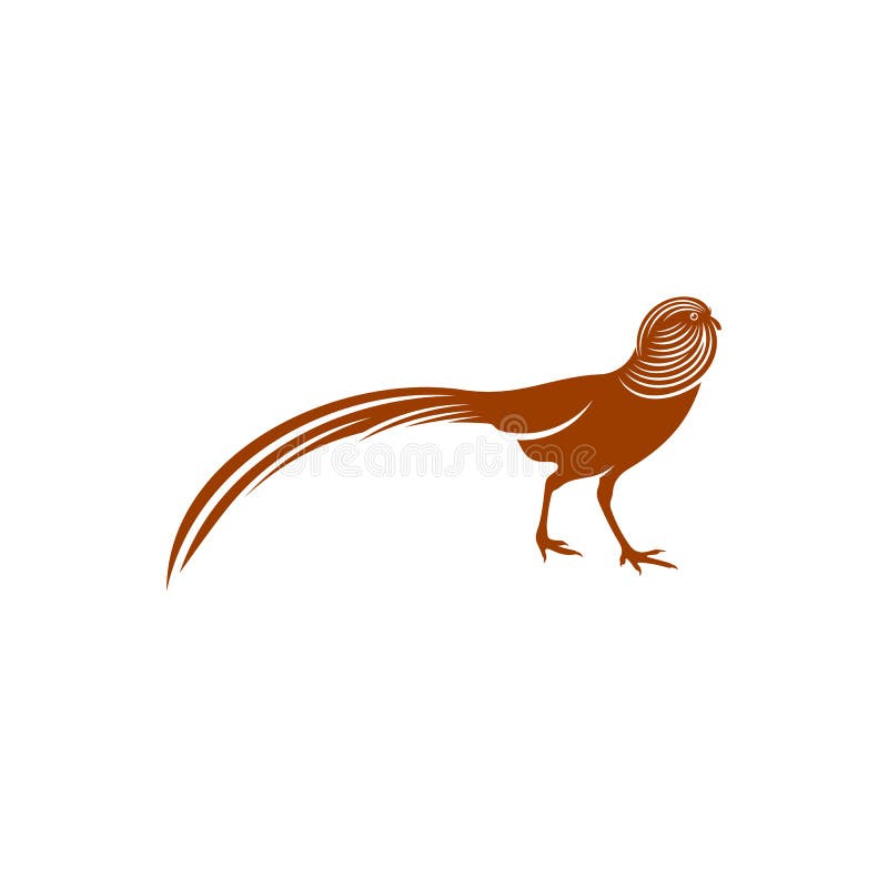 Gold Pheasant Design Vector Illustration, Creative Gold Pheasant Logo ...