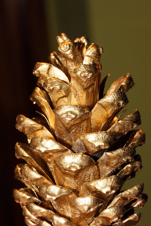 Gold pine cone stock photo. Image of branches, tree, christmas - 17079686