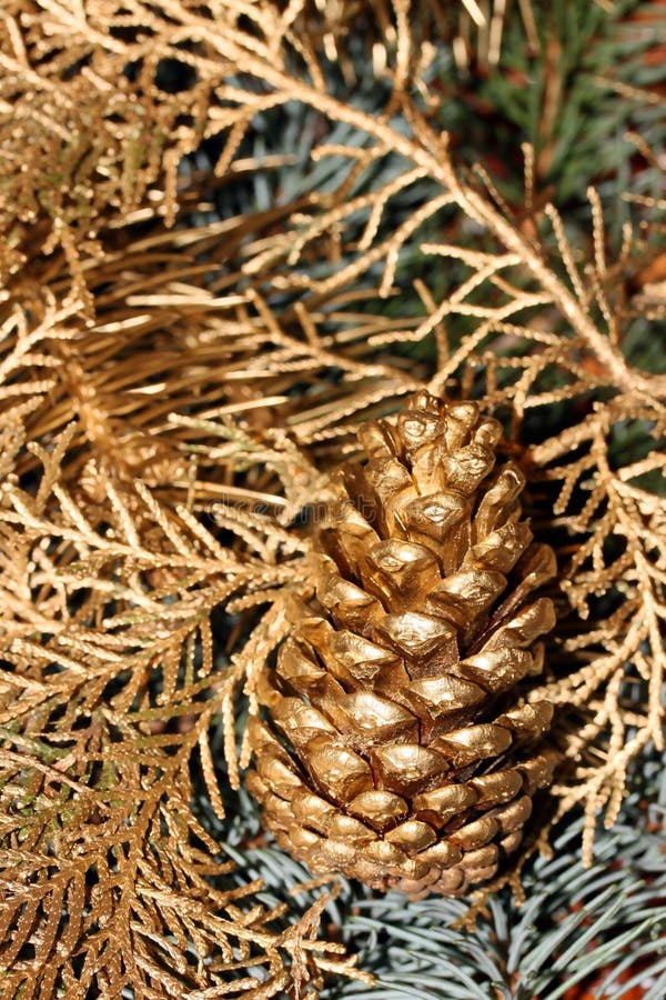 Gold pine cone stock photo. Image of branches, tree, christmas - 17079686