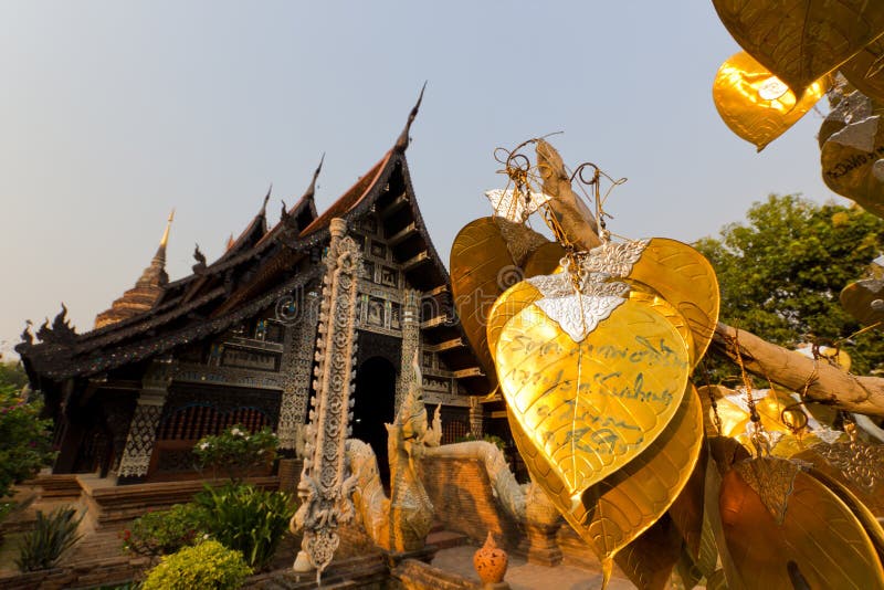 Pipal Leaf stock photo. Image of faith, golden, spirit - 30270682