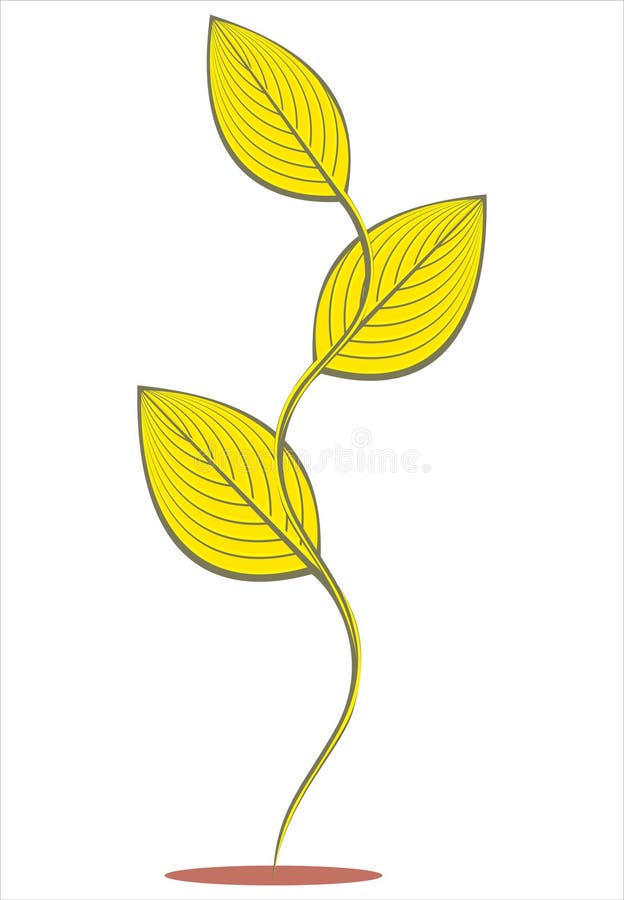Gold plant (vector) stock vector. Illustration of money - 3616196