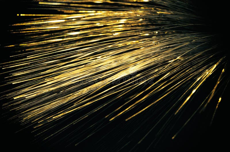 Gold Plated Luminous Led Filaments Stock Image - Image of contrast ...