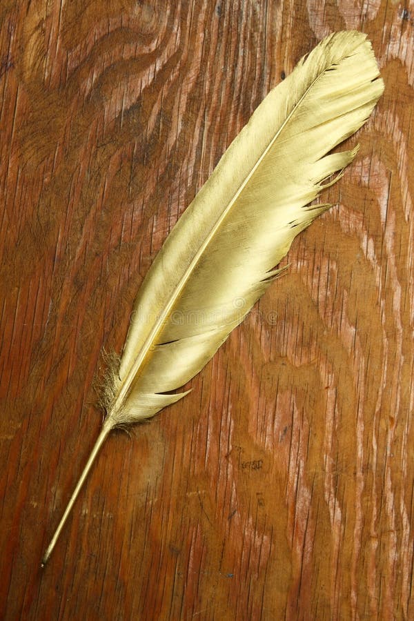 Gold quill pen stock image. Image of knowledge, middle - 40742877