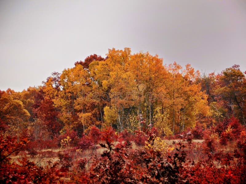 Gold and red stock image. Image of golden, railroad, wonders - 50015487