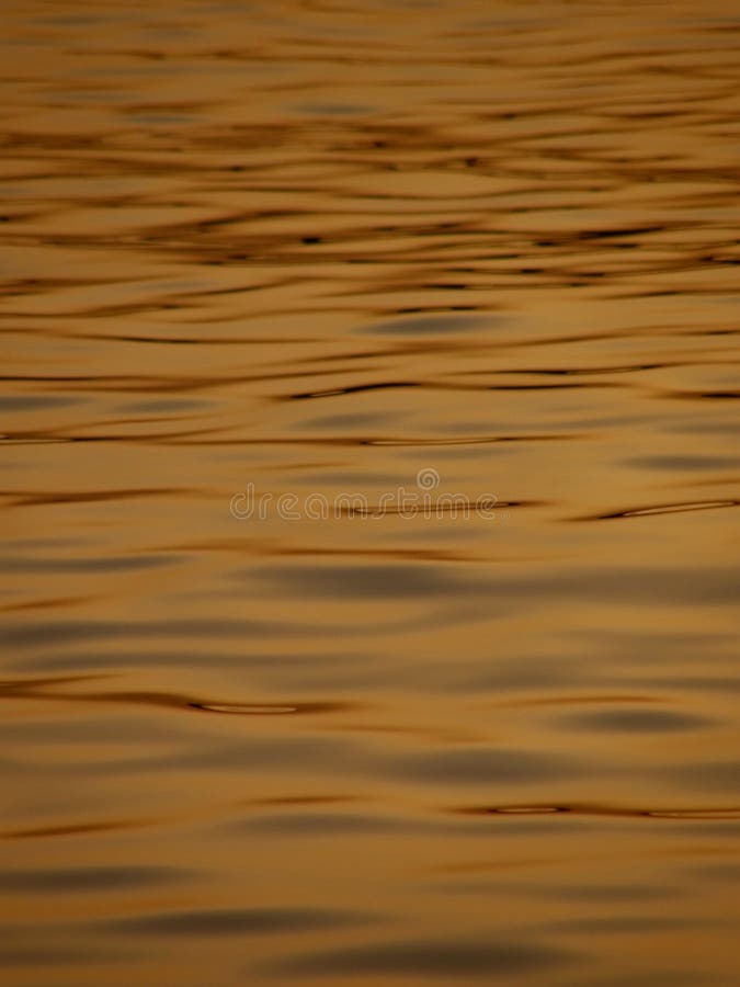 Gold reflection in sunset stock photo. Image of reflection - 11786696