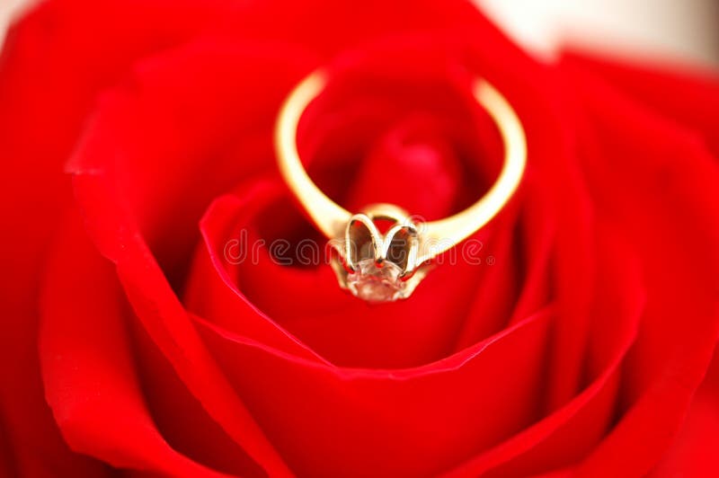 Gold Ring with Diamond on Red Stock Photo - Image of ceremony, elegance ...