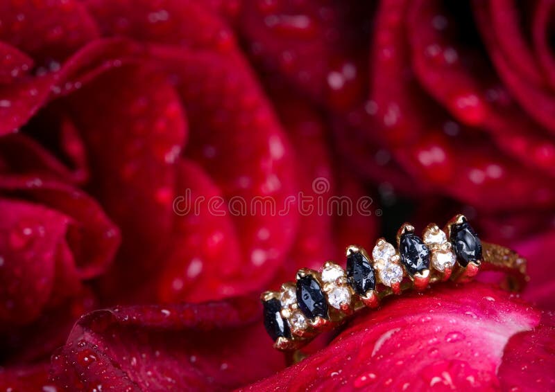 Gold ring and red rose. stock image. Image of gold, jewellery - 11777871