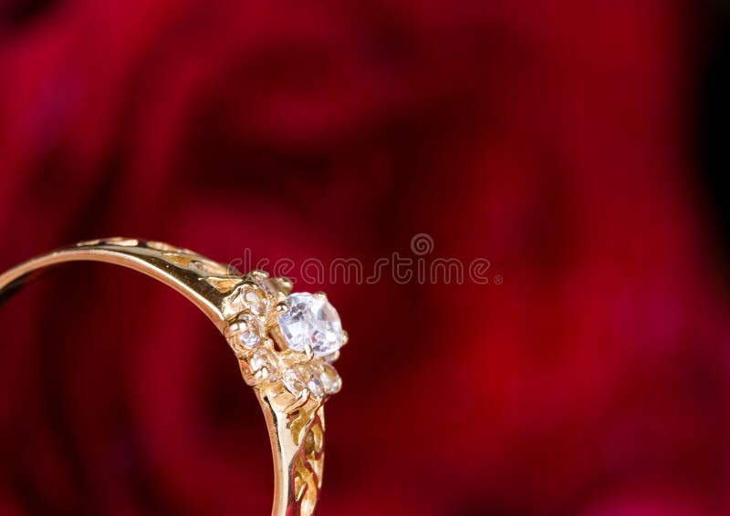 Gold ring and red rose. stock image. Image of ring, flower - 11777891