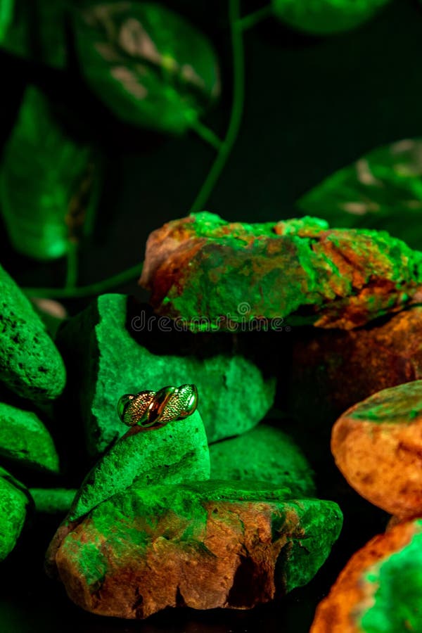 A Gold Ring with Rocks in the River Background Stock Image - Image of ...