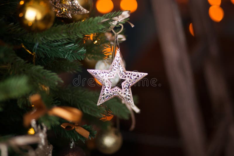 Ristmas Star Stock Photos - Free & Royalty-Free Stock Photos from ...