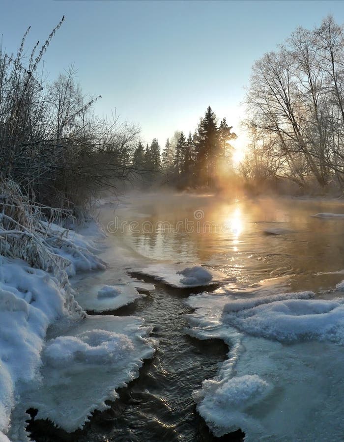 The gold river 2 stock photo. Image of taiga, morning - 12046972