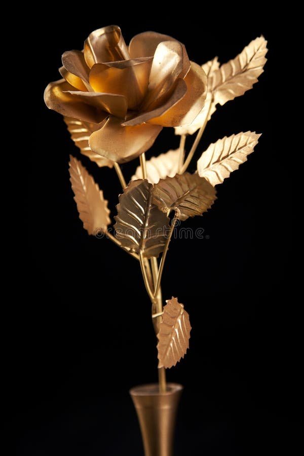 Gold rose stock image. Image of stem, beauty, focus, rose - 18967529