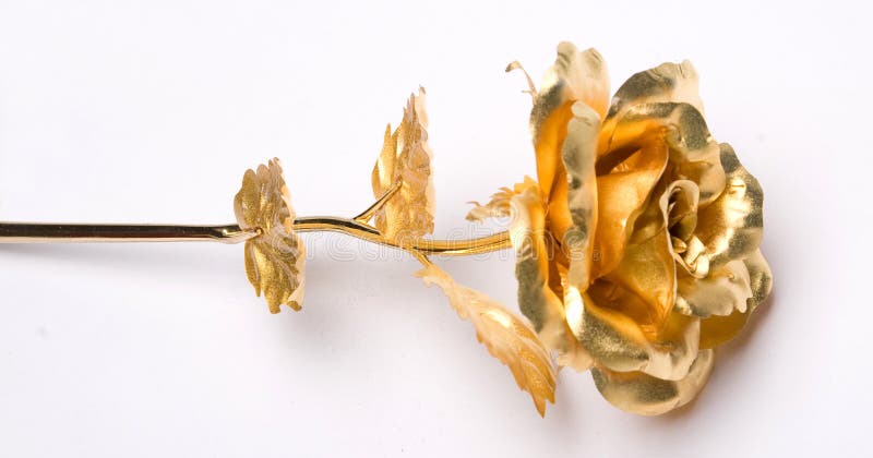 Gold roses stock photo. Image of celebration, flower, freshness - 7030528