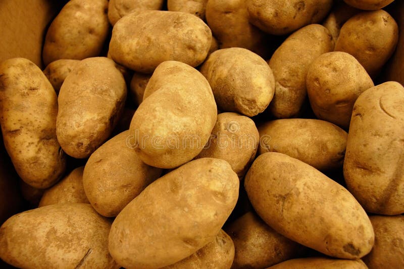 Gold Russet Potatoes stock image. Image of background, food - 82029