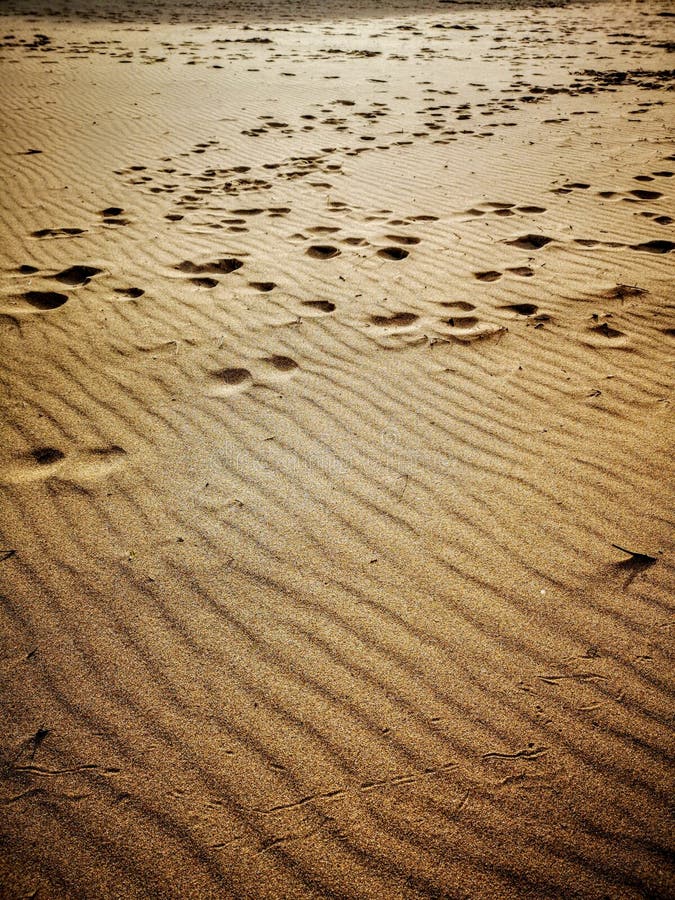 Gold sand stock image. Image of natural, oasis, natute - 167327017