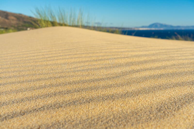 Gold sand texture stock image. Image of series, closeup - 260741847