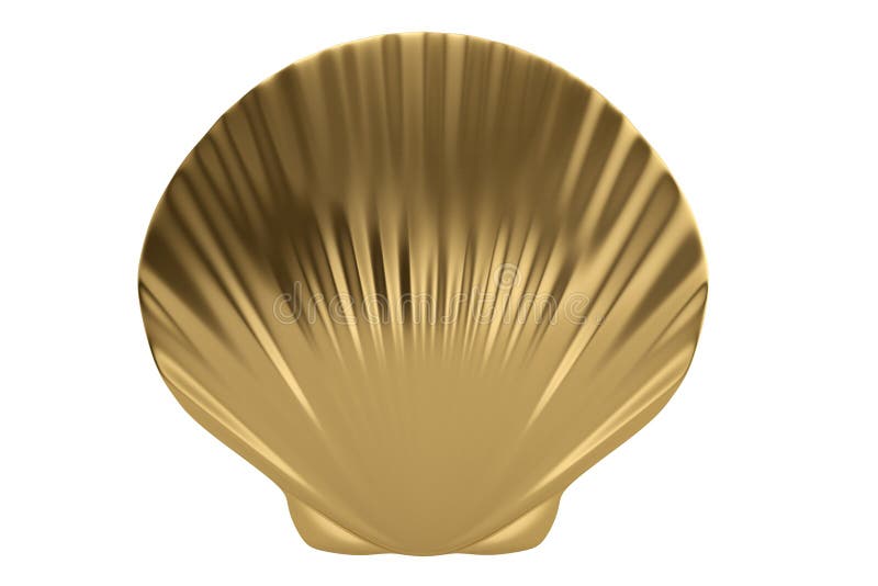 Sea Shell Perl Stock Illustrations – 288 Sea Shell Perl Stock ...