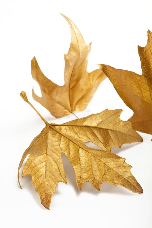 Gold sheet stock image. Image of decoration, vein, wealth - 12015483