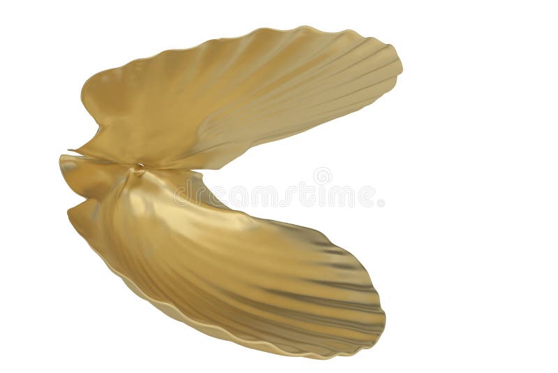 A White Shell with Golden Pearl Isolatedon White Background. 3D Stock ...