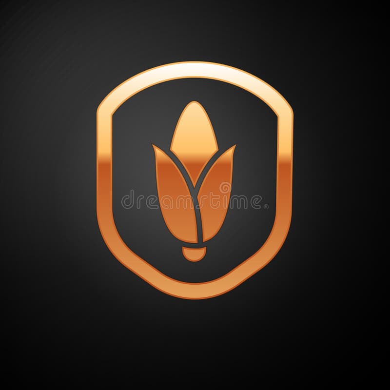 Gold Shield Corn Icon Isolated on Black Background. Security, Safety ...