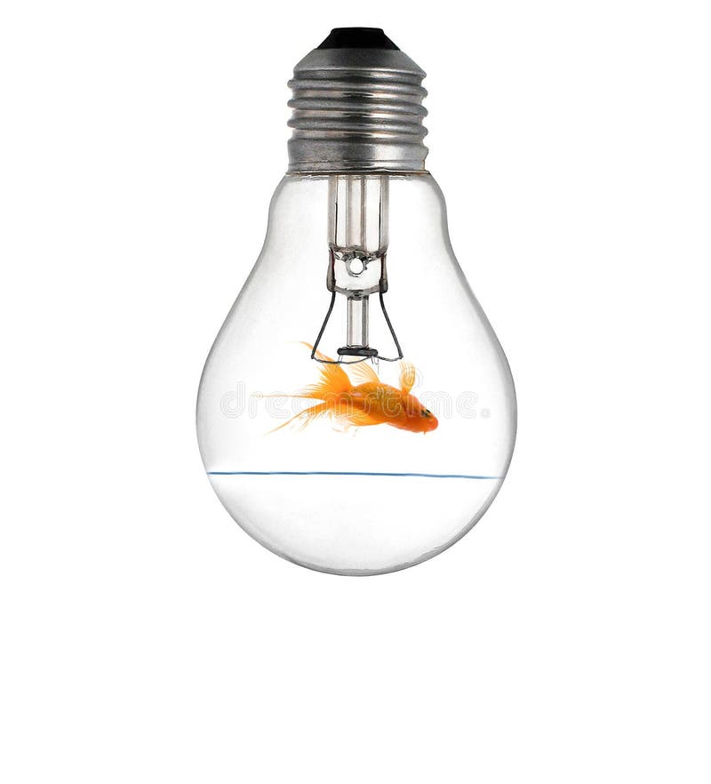 Fish in light bulb stock image. Image of aquarium, electric - 59993351
