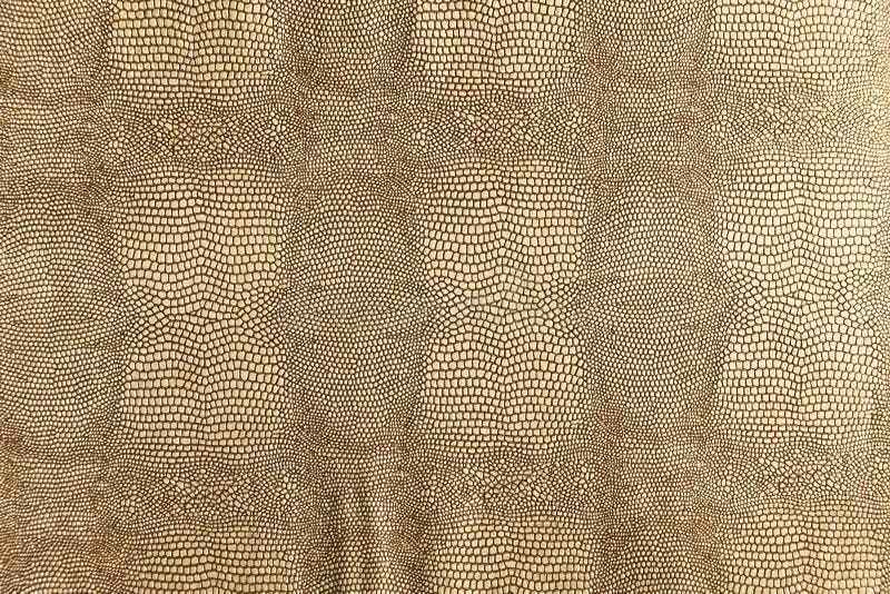 Gold snakeskin texture stock photo. Image of beige, light - 29170038