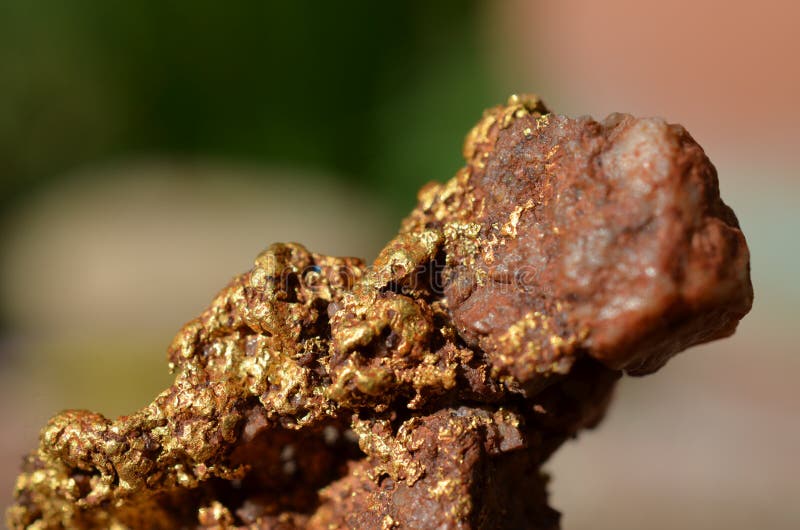 Gold specimen stock photo. Image of specimen, rare, precious - 31387018