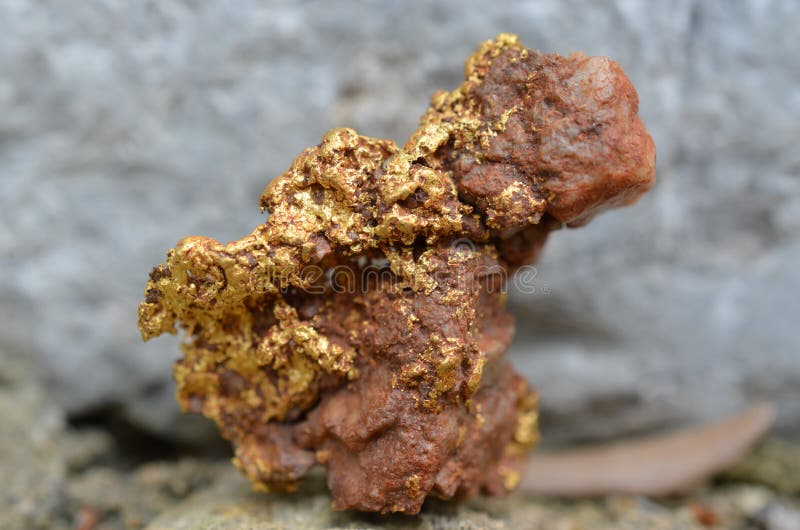 Gold specimen stock photo. Image of specimen, rare, precious - 31387018