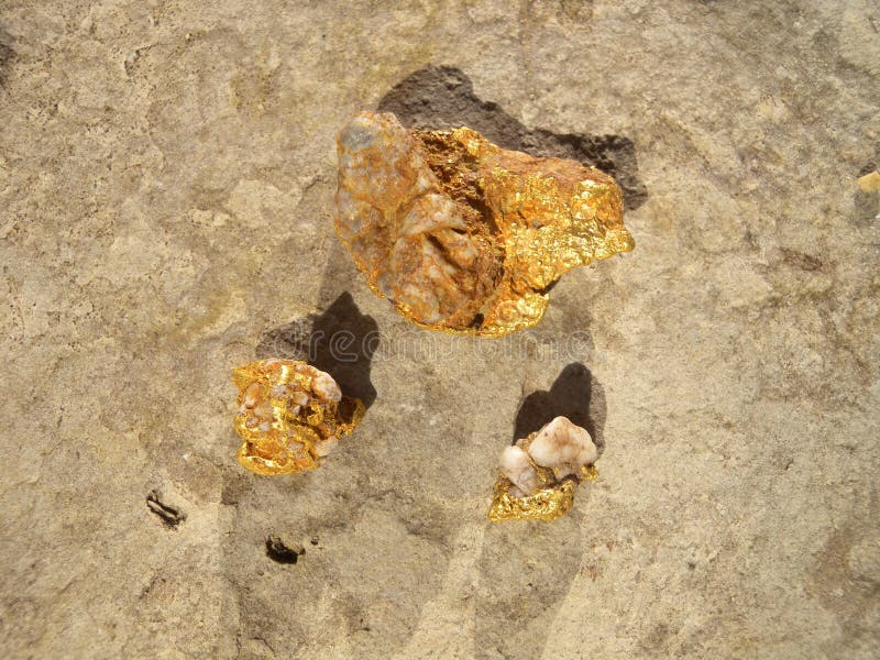 Gold specimen stock photo. Image of specimen, rare, precious - 31387018