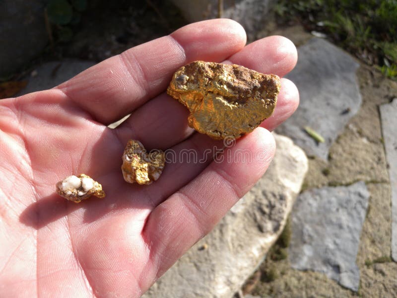 Gold specimen stock photo. Image of specimen, rare, precious - 31387018