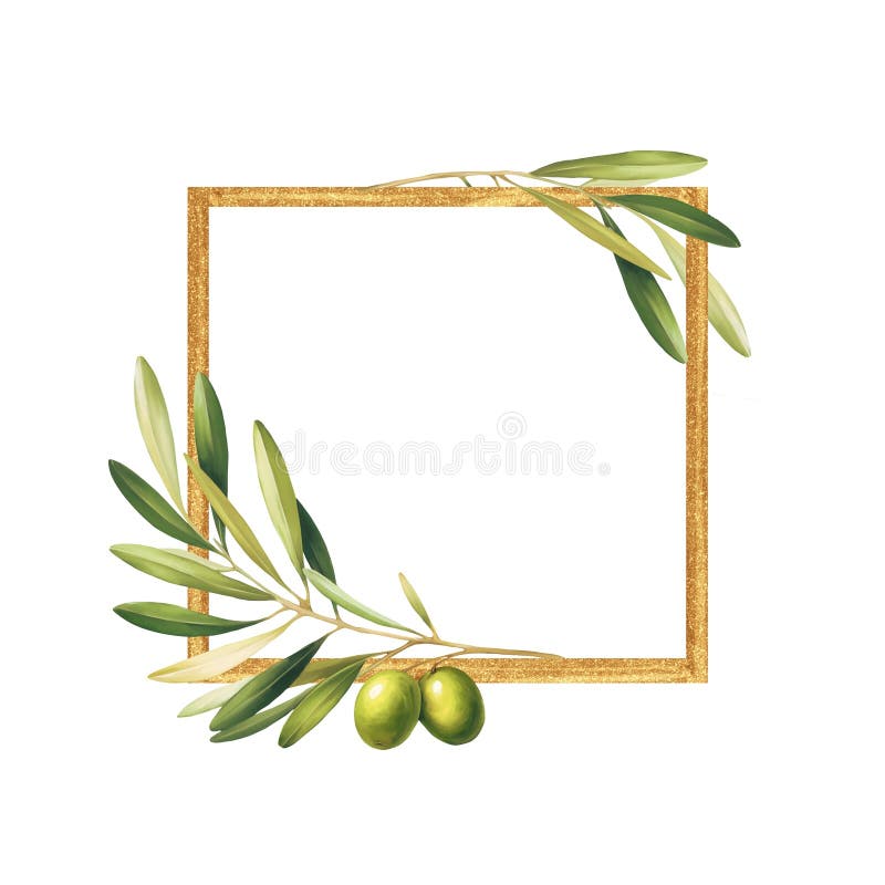 Gold Square Frame with Olive Branch. Stock Photo - Illustration of ...