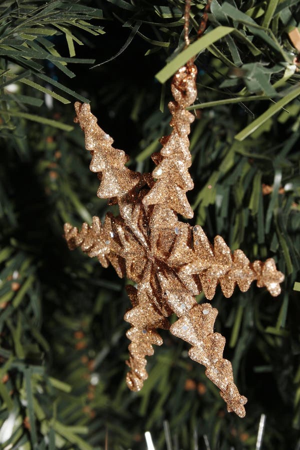 Gold star stock photo. Image of xmas, christmas, star - 19305860