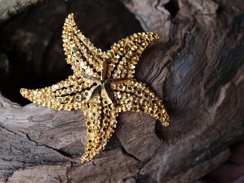 Gold starfish pendant stock photo. Image of hanging, pendant - 85566968