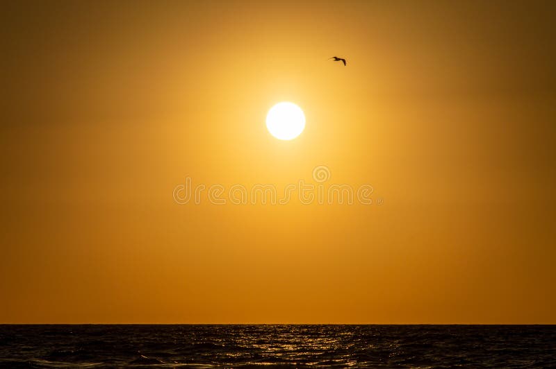Gold sunrise on the beach stock photo. Image of clouds - 224561102